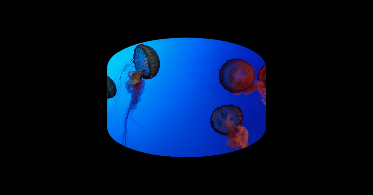 Jellyfish Aquarium - Jellyfish - Sticker | TeePublic