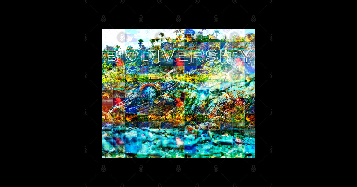 BIODIVERSITY MOSAIC LIZARD | DESIGNING THE BIOSPHERE - Biodiversity ...