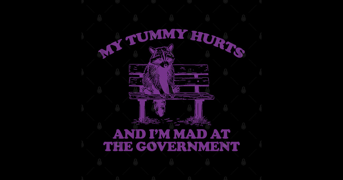 My Tummy Hurts And I'm Mad At The Government, Raccoon Cartoon Meme Top ...