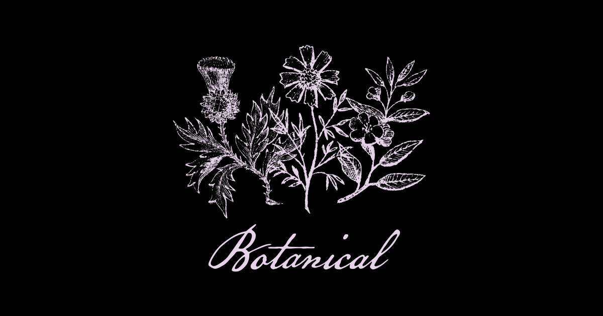 Botanical Text with Illustration - Botanical - Posters and Art Prints ...