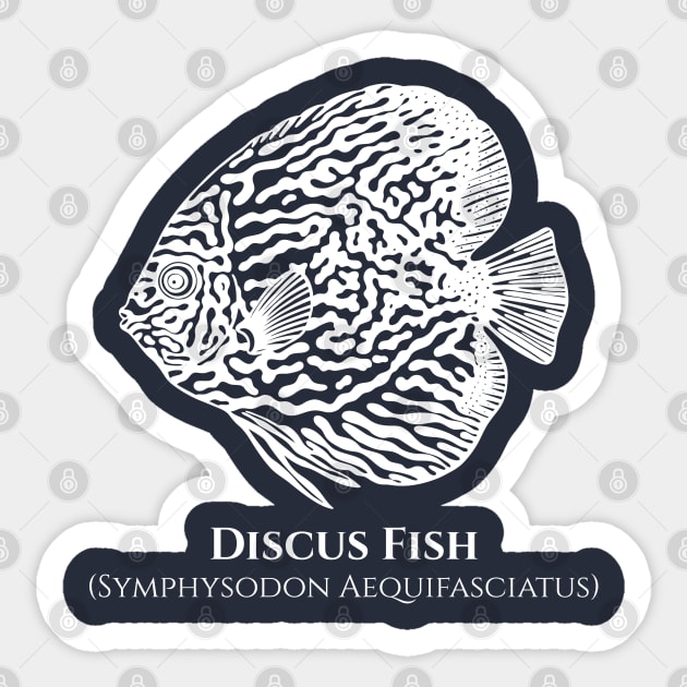 discus fish names