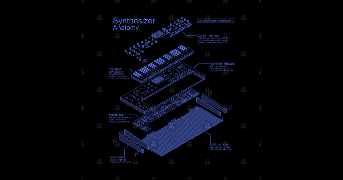 Synthesizer Anatomy design for Synth musician and music producer ...