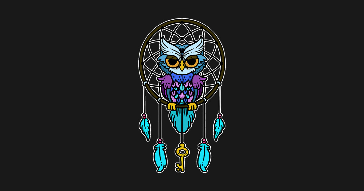 Cute Owl Owl Pet Native American Jewellery Feathers Owl Dream Catcher ...