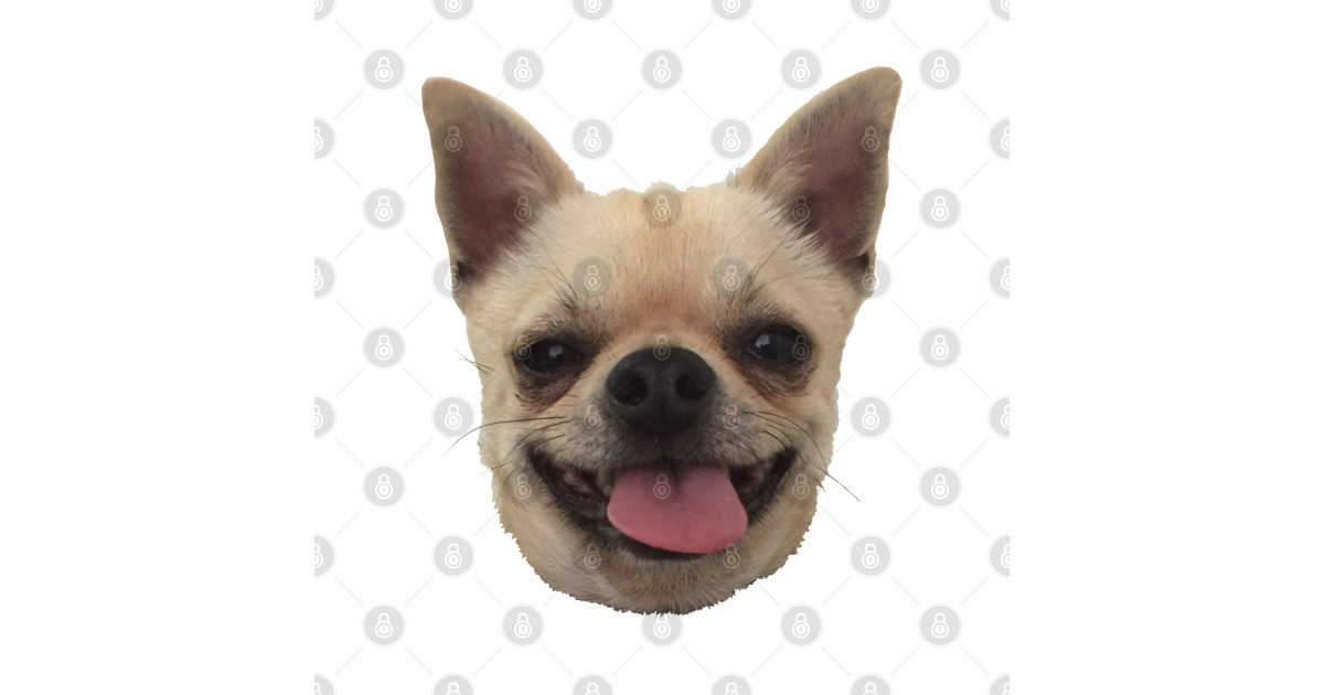 Archie - Dog - T-Shirt | TeePublic