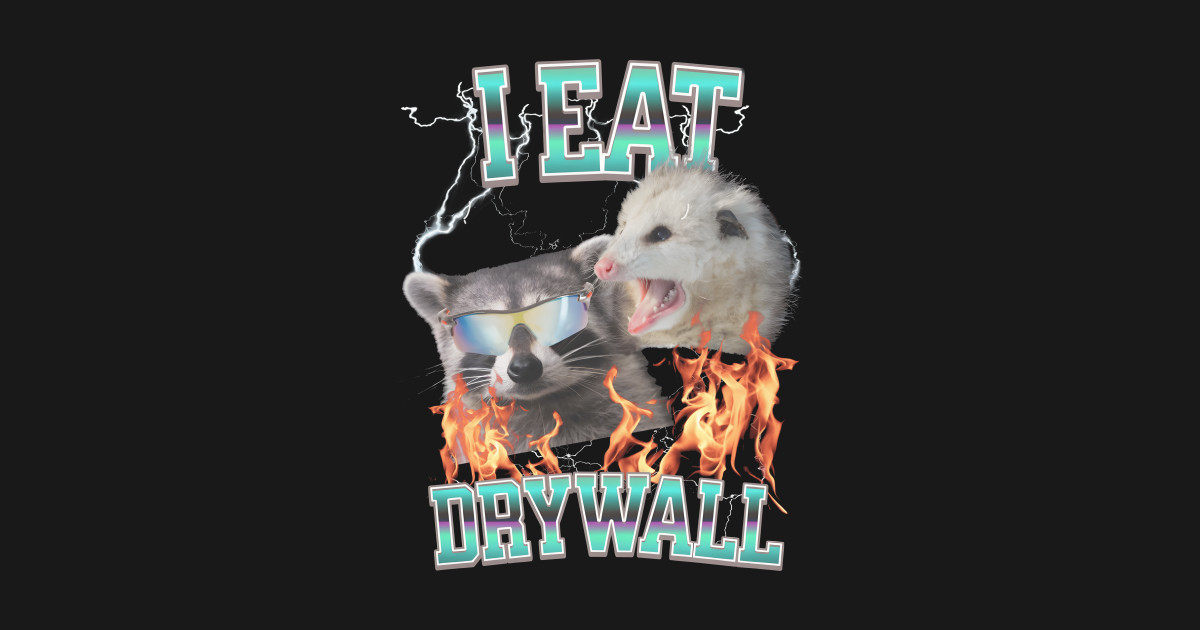 I EAT DRYWALL Raccoon Opossum Meme Funny Meme Y2K - Raccoon Meme - T ...