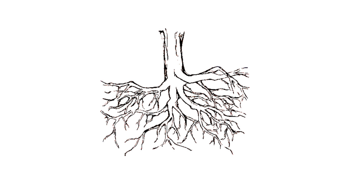 Nemeton - Teen Wolf - T-Shirt | TeePublic