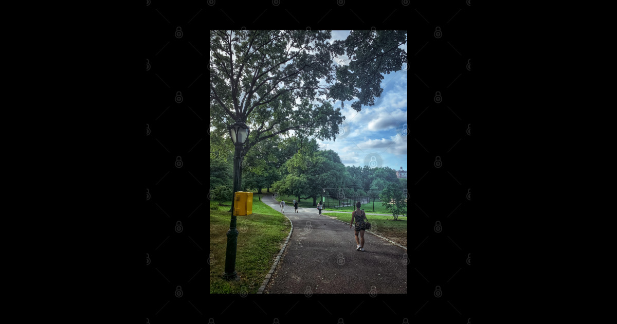 Central Park, Manhattan, New York City - Central Park - Sticker | TeePublic