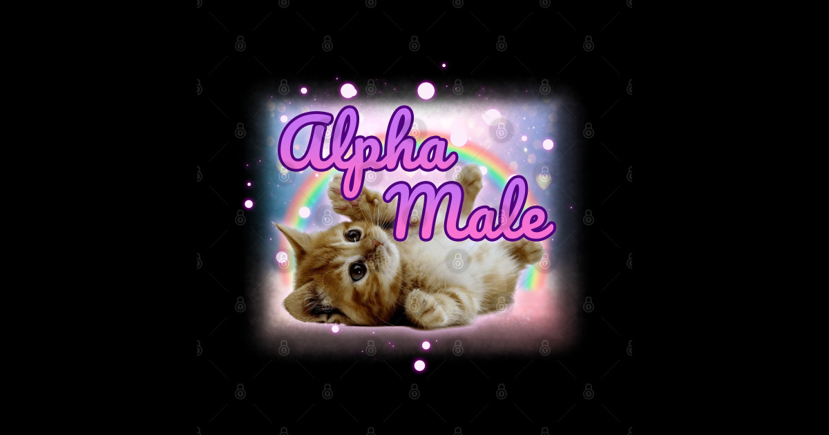 Alpha Male Cat Meme - Alpha - Sticker | TeePublic