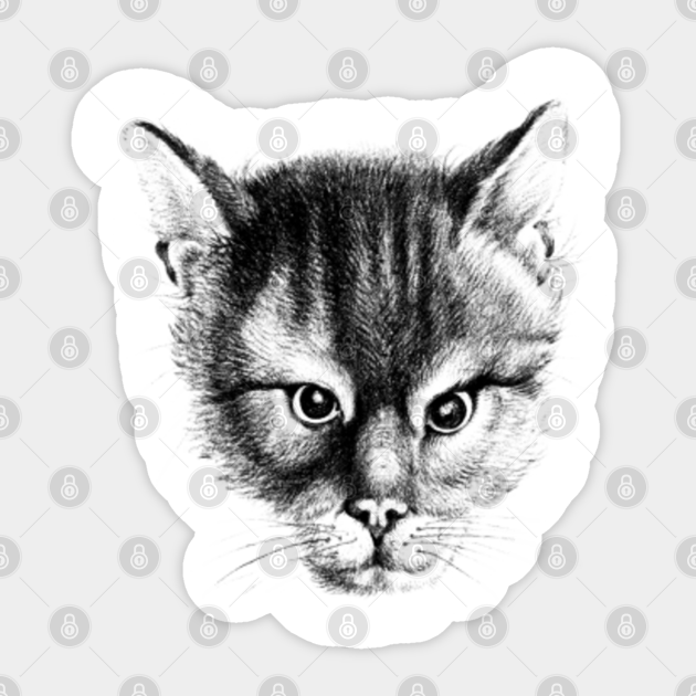 Cat-head - Cat Lover Gifts - Sticker | TeePublic