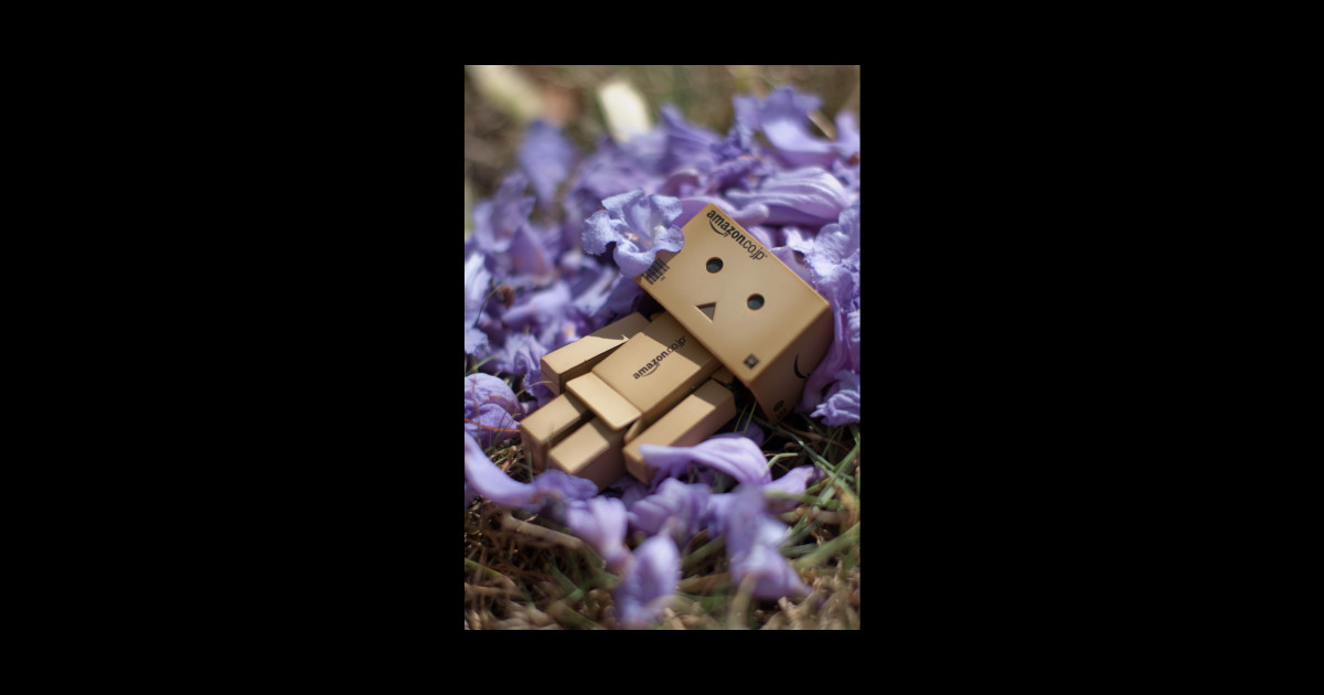 Danbo Lounging in the Jacarandas - Fa F1 4 50mm - Posters and Art ...