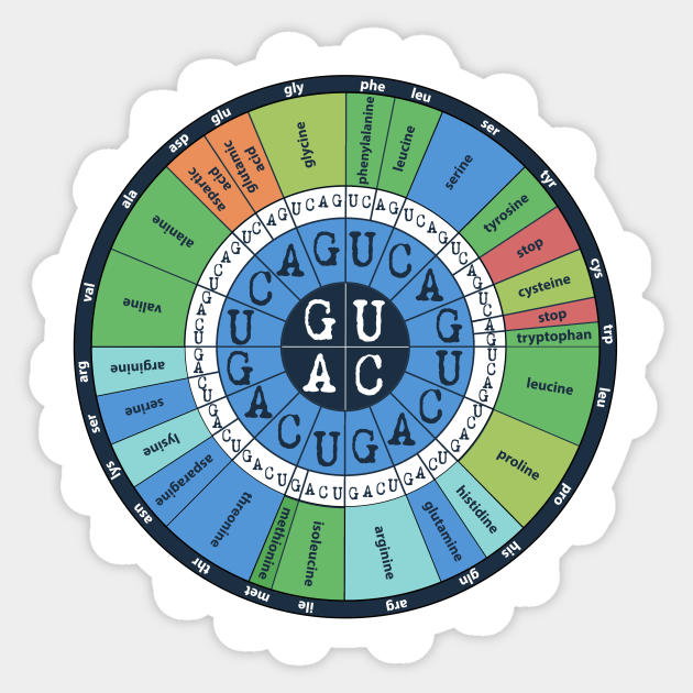 Science Nerds - Codon Table / Amino Acids / Genetic Code - Codon Table ...