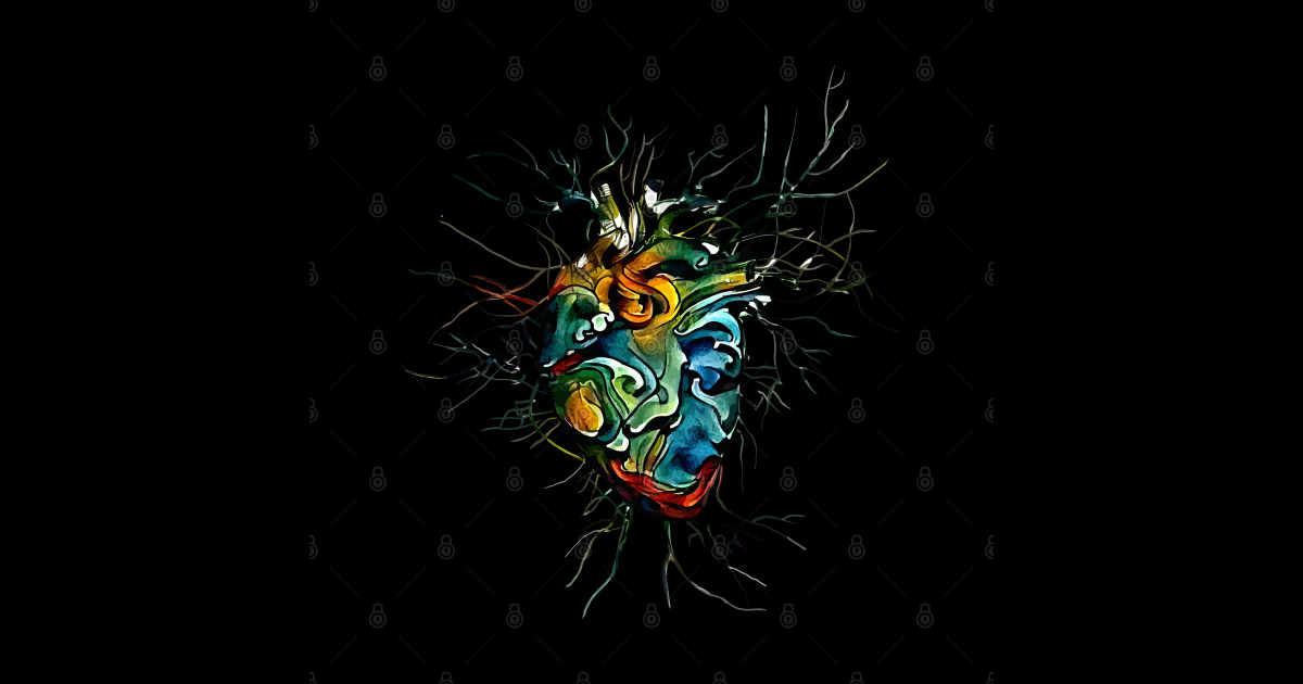 Colorful Anatomical Heart, Human Anatomy artery - Human Heart - Sticker ...