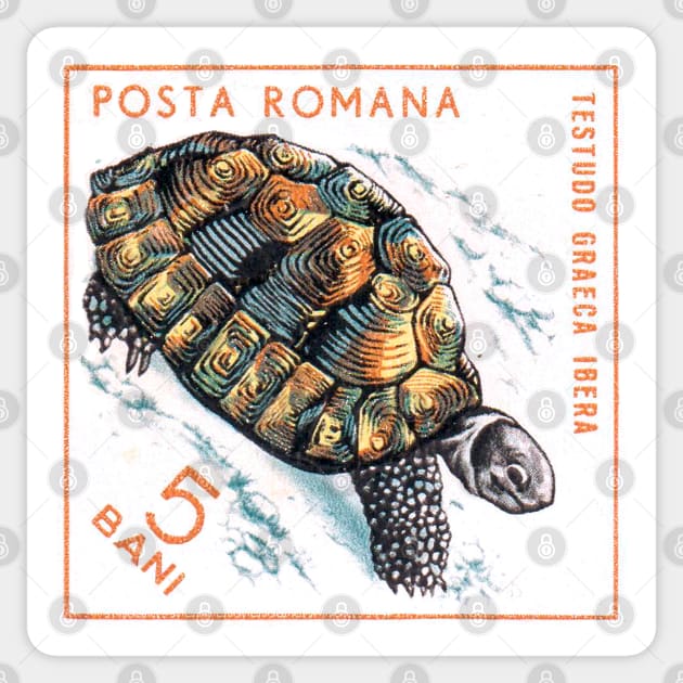 Vintage 1965 Romania tortoise postage stamp - Vintage - Sticker | TeePublic
