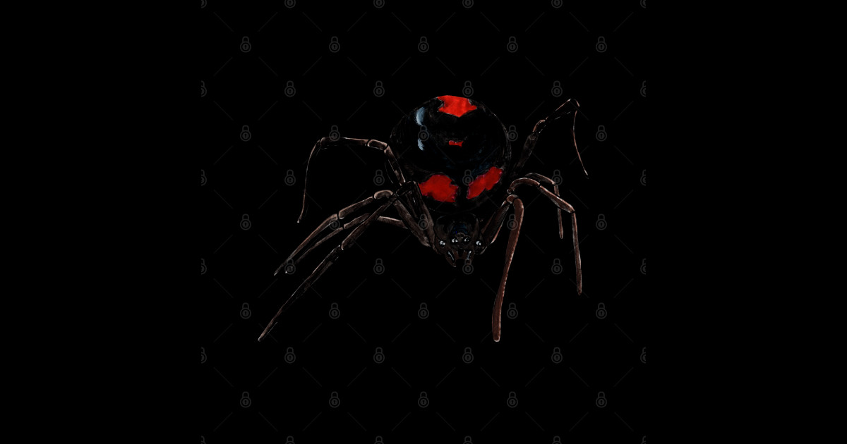 Black Widow Spider - Black Widow Spider - Sticker | TeePublic