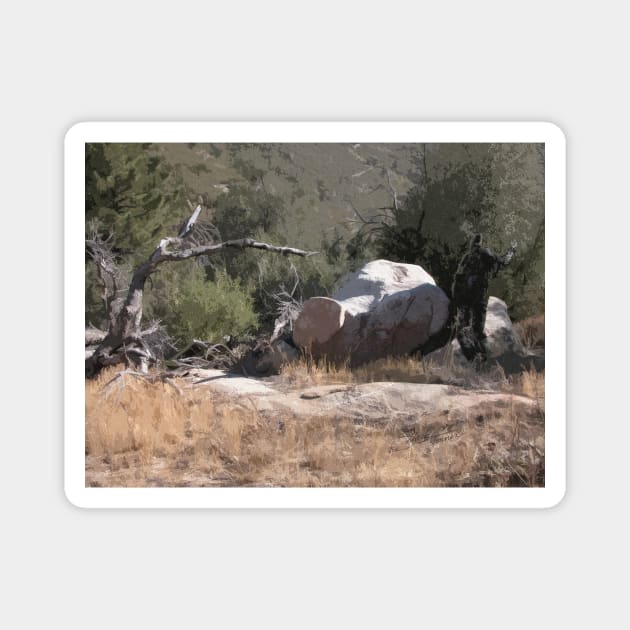 Southwest Branch and Rock No. 1 - Rock - Magnet | TeePublic