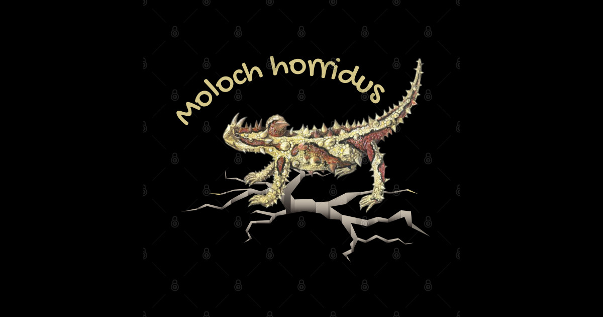 Moloch horridus - Moloch Horridus Thorny Devils - Sticker | TeePublic