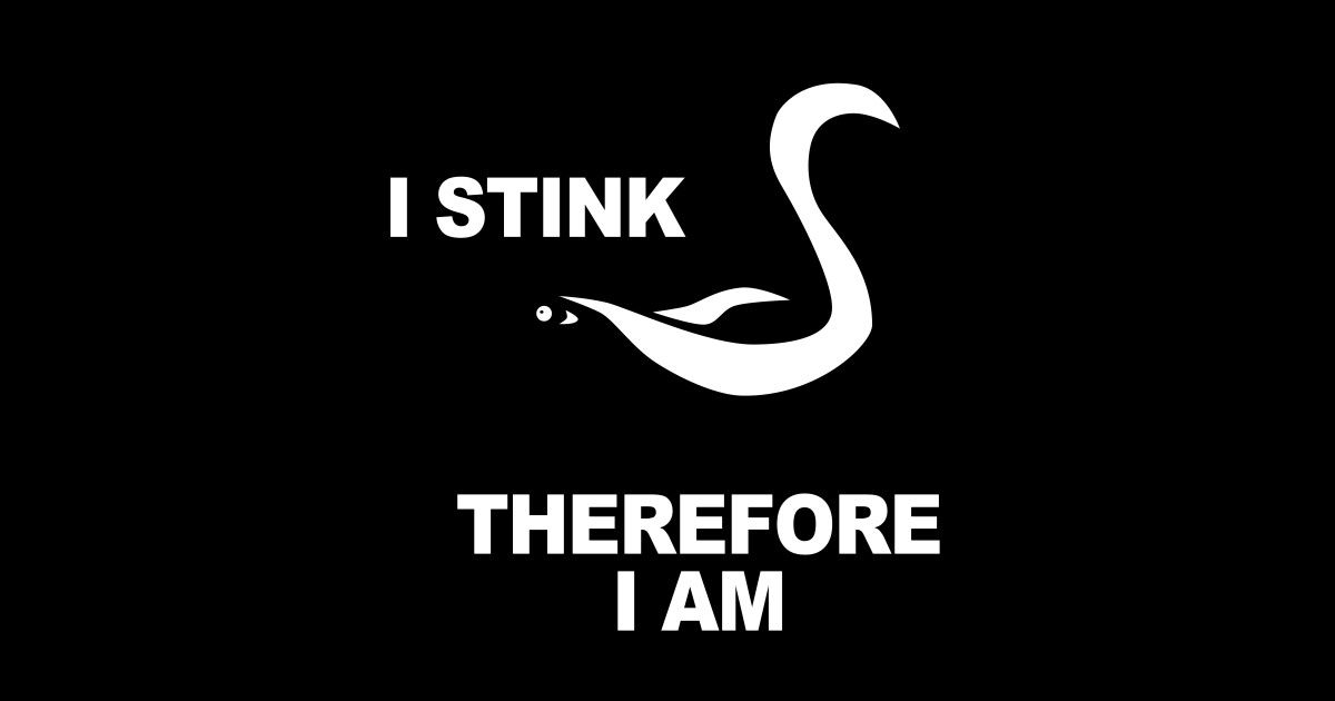 I Stink Therefore I Am - Skunks - Sticker | TeePublic