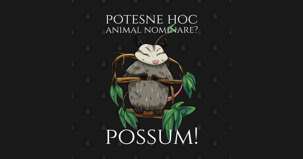 Classical Latin Language Meme - Possum - Wordplay Pun - Opossum Lover ...
