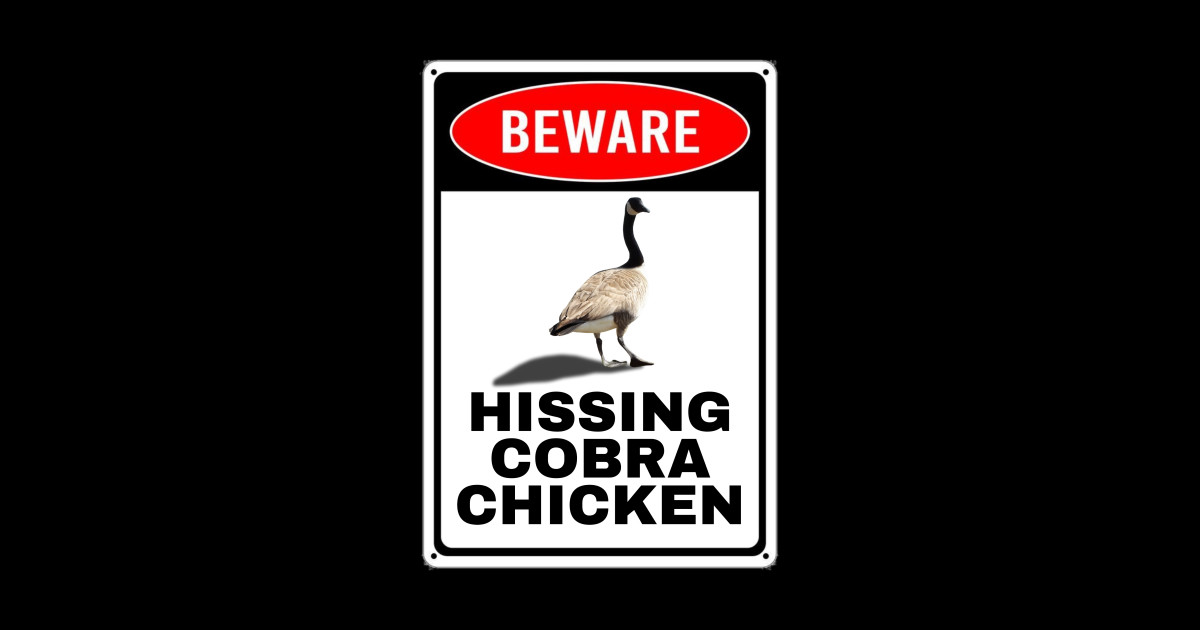 Beware: Hissing Cobra Chicken - Goose - Sticker | TeePublic