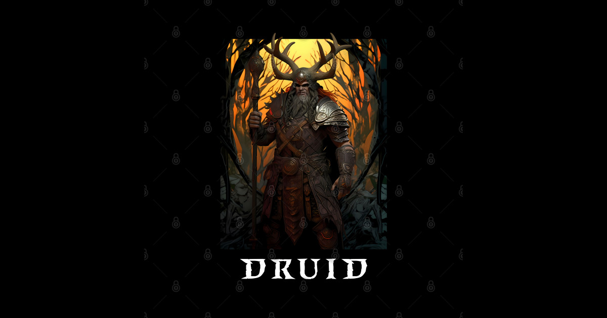 Diablo Druid - Diablo - Posters and Art Prints | TeePublic