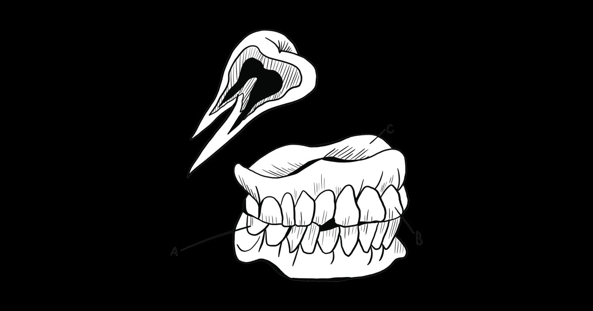 Tooth Extraction - Tooth - Sticker | TeePublic