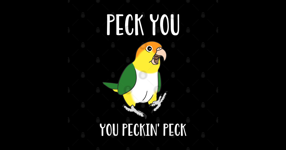 Peck you, you peckin peck - White Bellied Caique - Birb Memes - Magnet ...