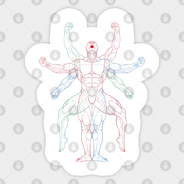 Muscles in motion - Muscle - Sticker | TeePublic