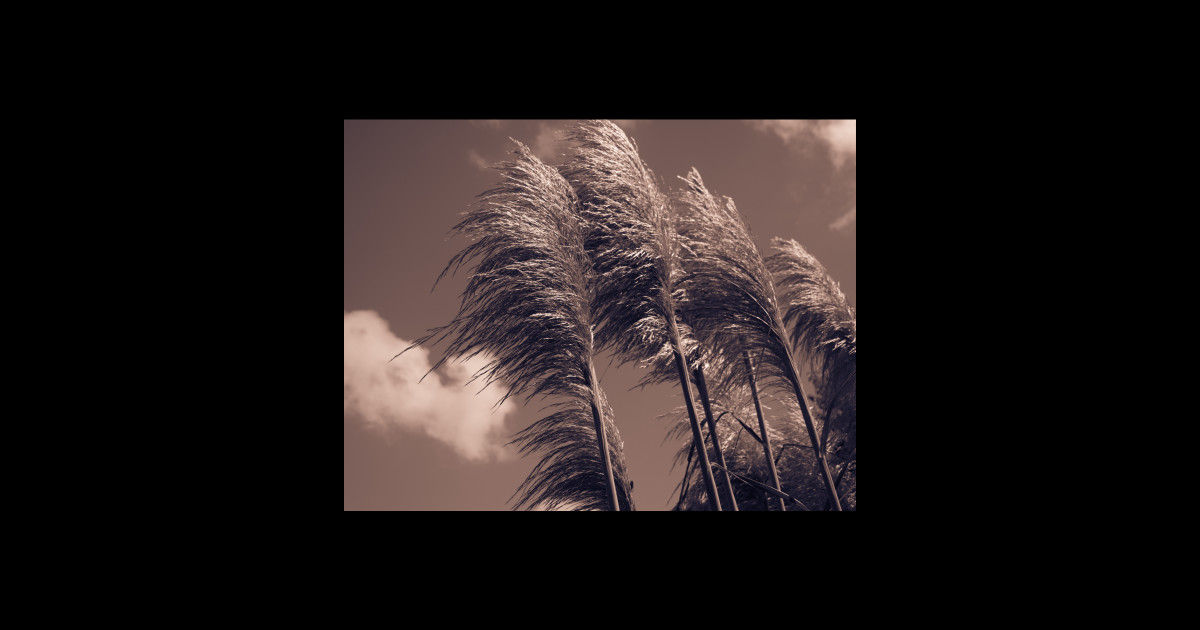 Blush pink toi toi. - Pink - Posters and Art Prints | TeePublic