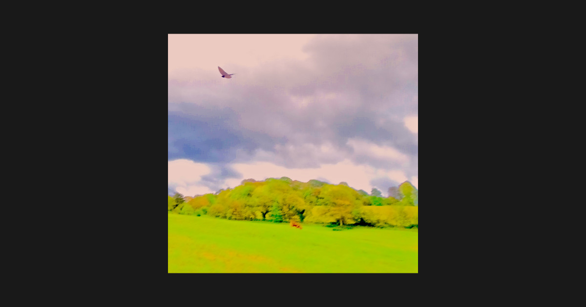 WHEN YOU JUST CAN'T SWALLOW MARMITE! - Dog Walking - T-Shirt | TeePublic