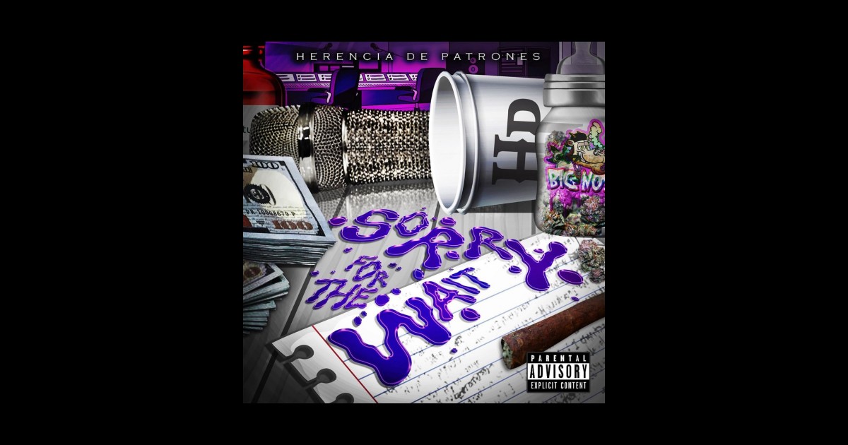 Herencia de Patrones - Sorry For The Wait album 2020 - Herencia De Patrones - Hat | TeePublic