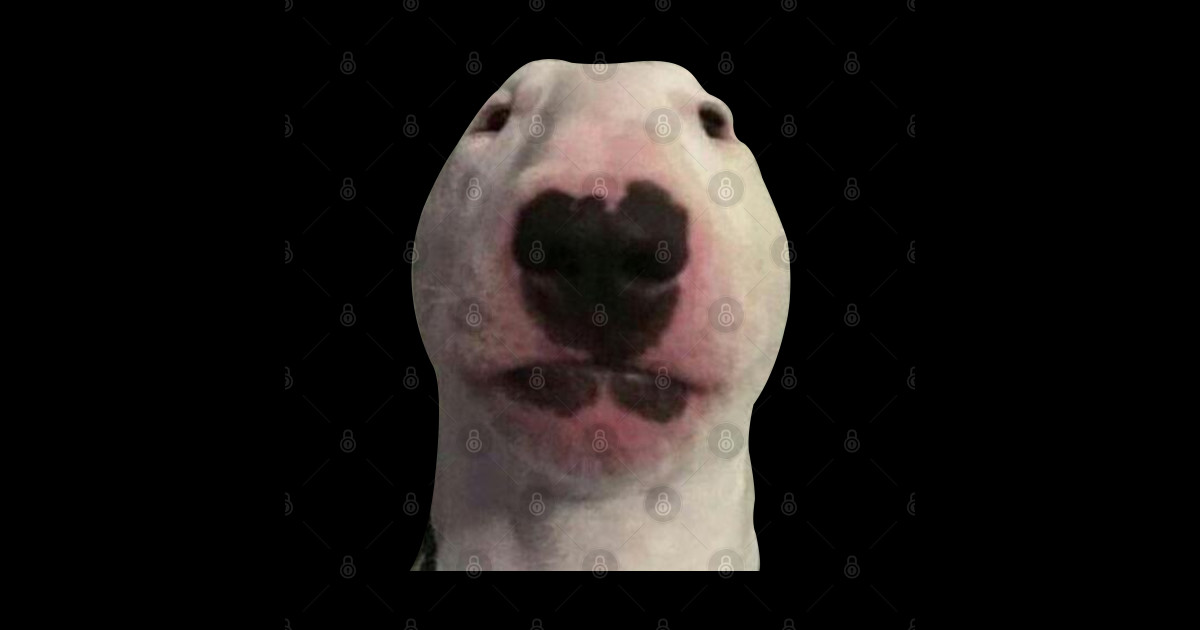 Staring Forward Dog Meme - Meme - Sticker | TeePublic