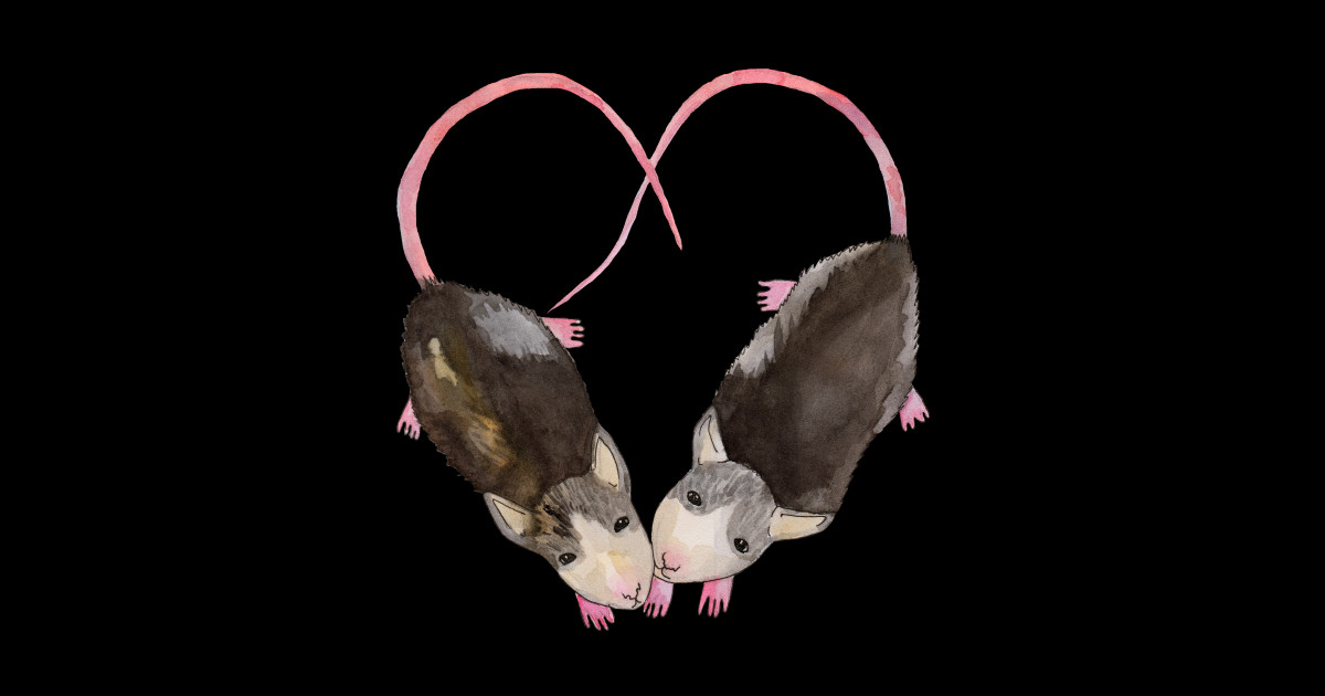 Two rats Heart shape - Rats - Sticker | TeePublic