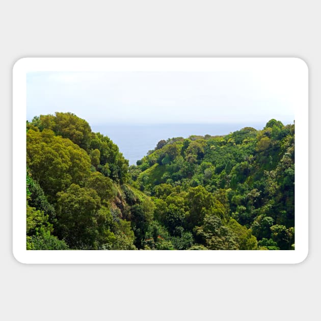 Road to Hana Study 08 - Road To Hana - Sticker | TeePublic