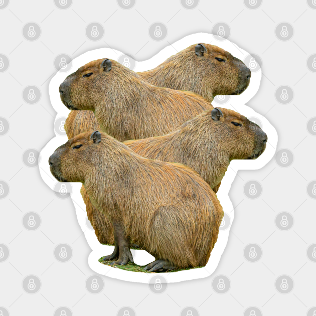 Capybara Stack - Capybara - Magnet | TeePublic