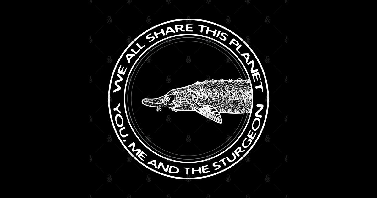 Sturgeon design - meaningful fish drawing - Sturgeon - Posters and Art ...