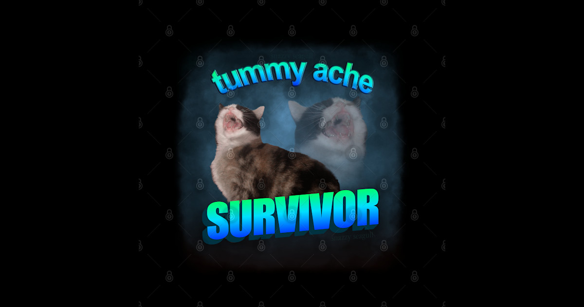 Tummy Ache Survivor Cat Meme - Cat - Posters and Art Prints | TeePublic