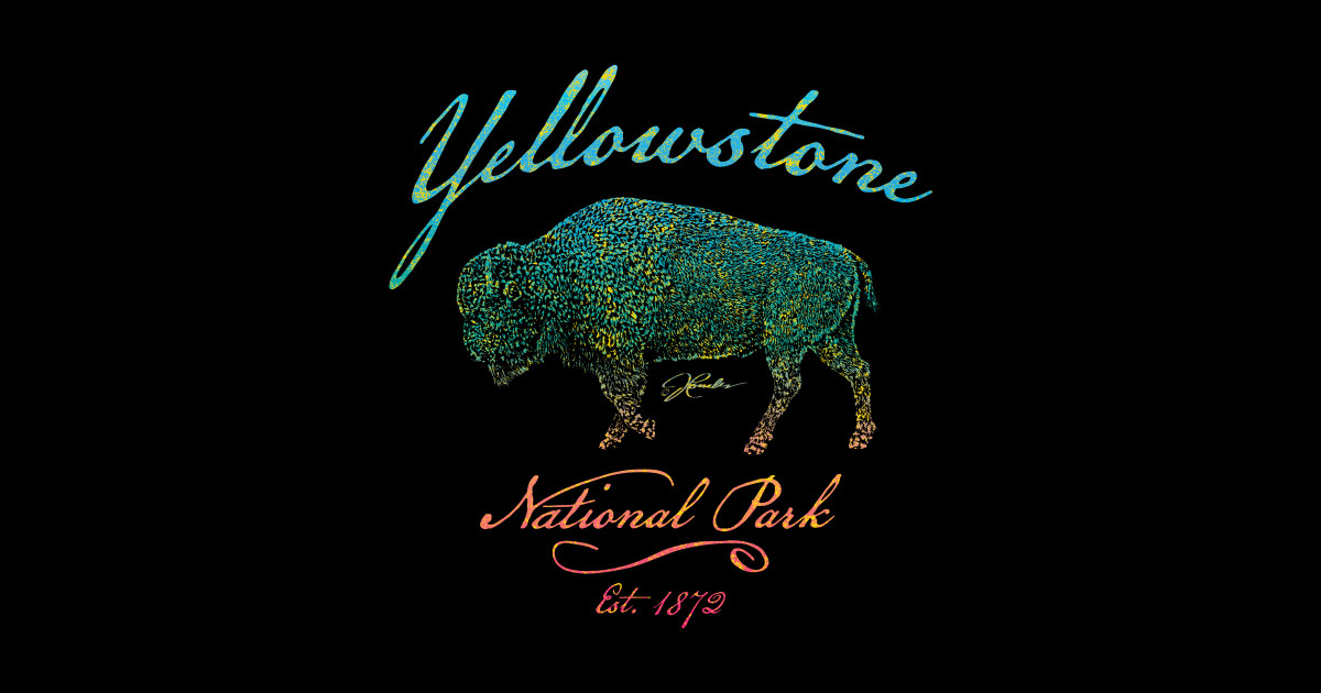Yellowstone National Park Walking Bison - Yellowstone National Park ...