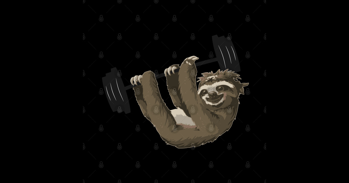 Weightlifting Sloth - Funny Workout Cartoon - Sticker | TeePublic