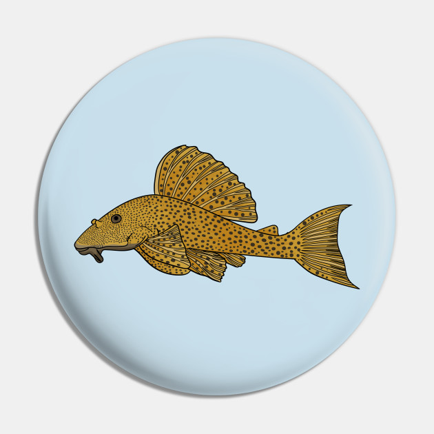 how to draw characters on pleco