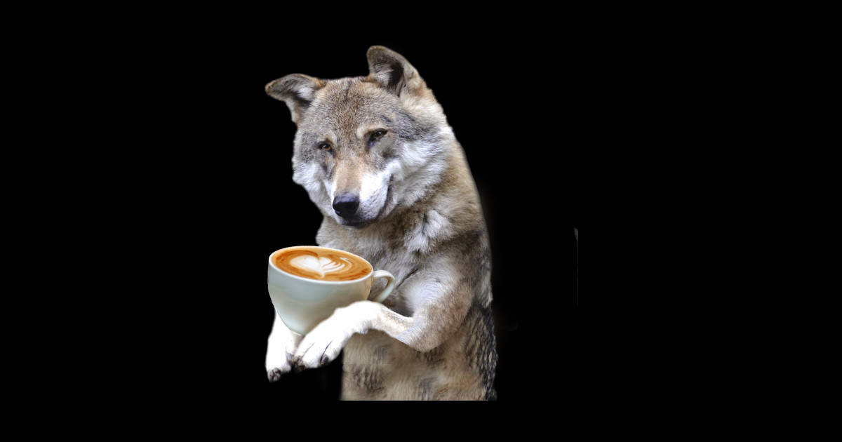 Brown Wolf Wolves Drinking Coffee Smiling, Funny Cute - Brown Wolf ...