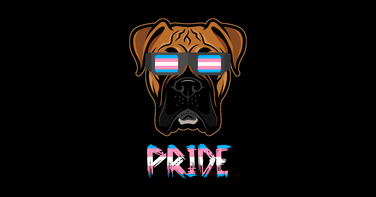 Boxer Transgender Flag Lgbt - Boxer Transgender - Magnet | TeePublic