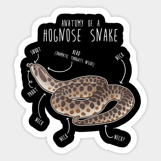 Hognose Snake Anatomy - Hognose Snake - Sticker | TeePublic