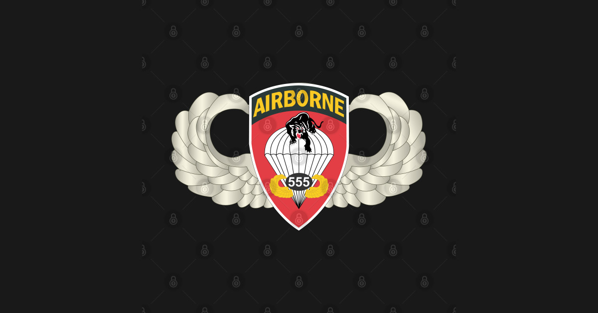 Airborne Badge - 555th Parachute Infantry Bn - SSI X 300 - Airborne ...