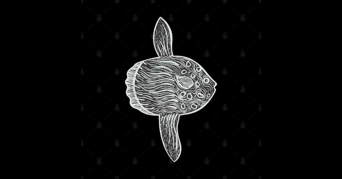 Ocean Sunfish or Mola Mola - hand drawn fish design - Ocean Sunfish ...