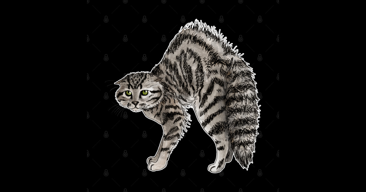 Scared cat - Scared Cat - Sticker | TeePublic