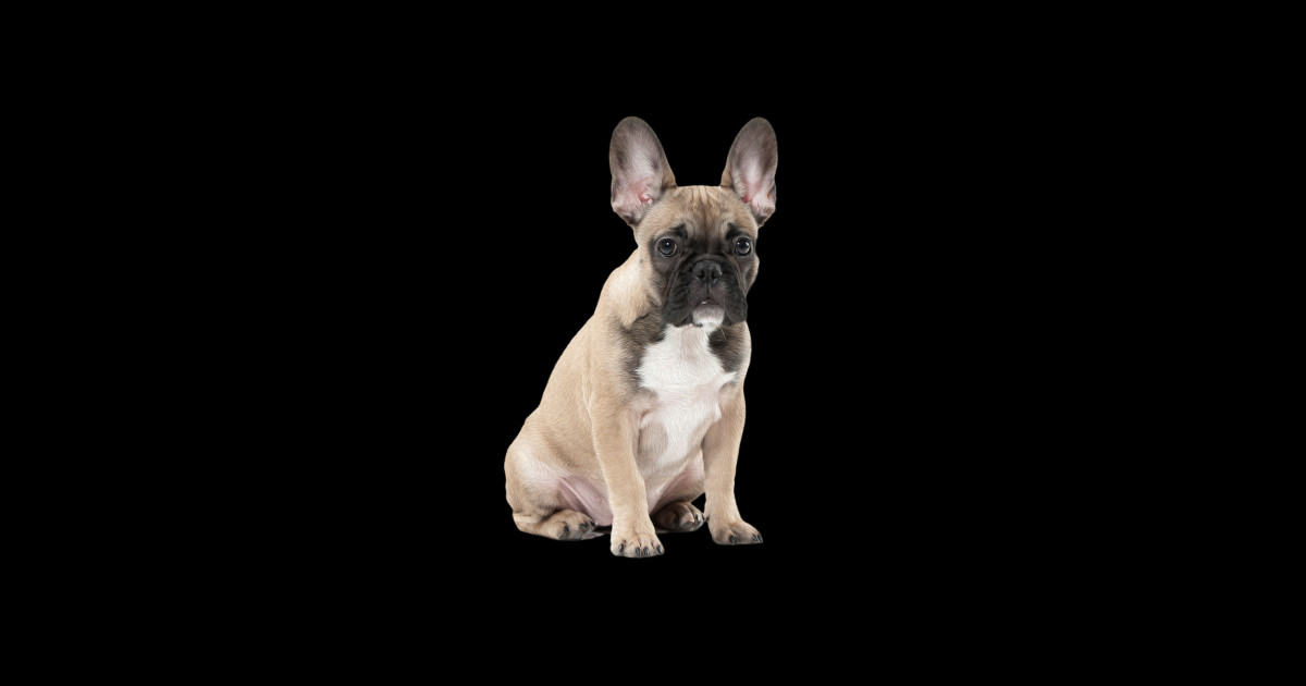 Frenchie Traits - French Bulldog - Sticker | TeePublic