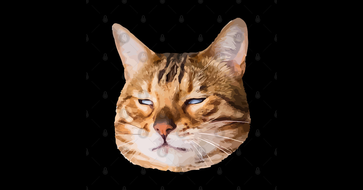 CAT FACE MEME - Cat Memes - Posters and Art Prints | TeePublic
