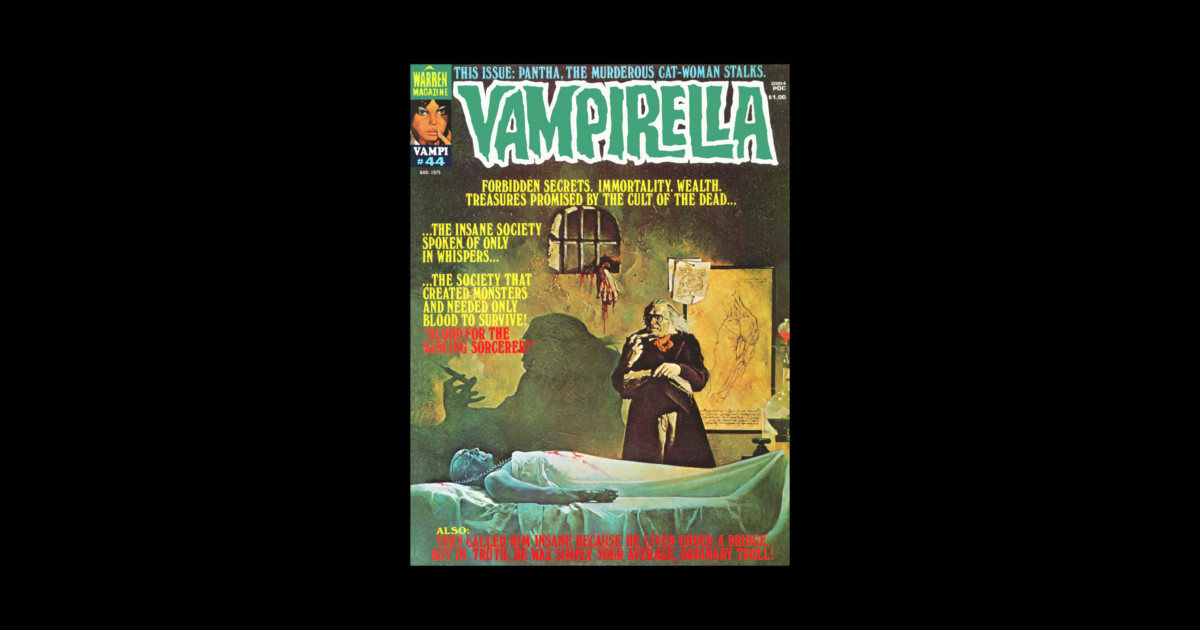 YET ANOTHER GREAT VINTAGE VAMPIRELLA MAGAZINE COVER 44 - Another Great ...