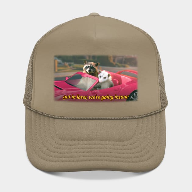 Get in loser, we're going insane raccoon possum word art - film quote ...