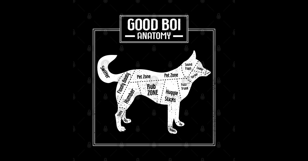Good Boi Anatomy - Funny Animals - Sticker | TeePublic